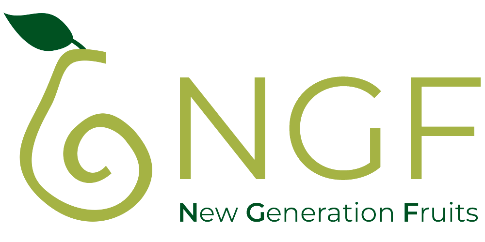 Inicio | New Generation Fruits